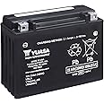 Amazon.com: Yuasa YUAM6250H YTX24HL-BS Battery : Automotive