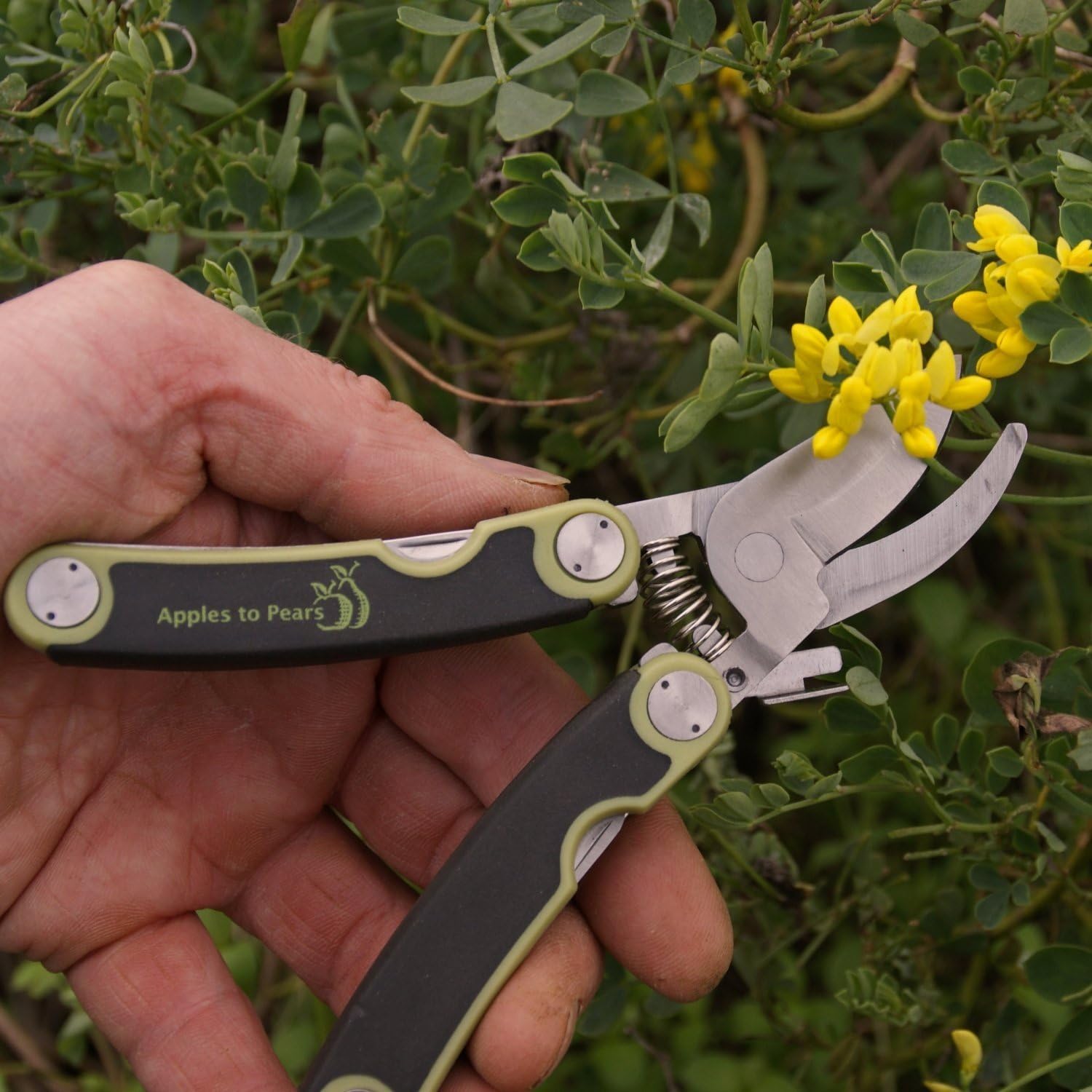 ATP Folding Pocket Secateurs: Amazon.co.uk: Garden & Outdoors