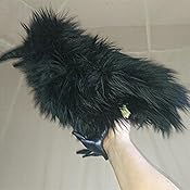 Folkmanis Puppets Raven Hand Puppet, Black, Hand Puppets - Amazon Canada