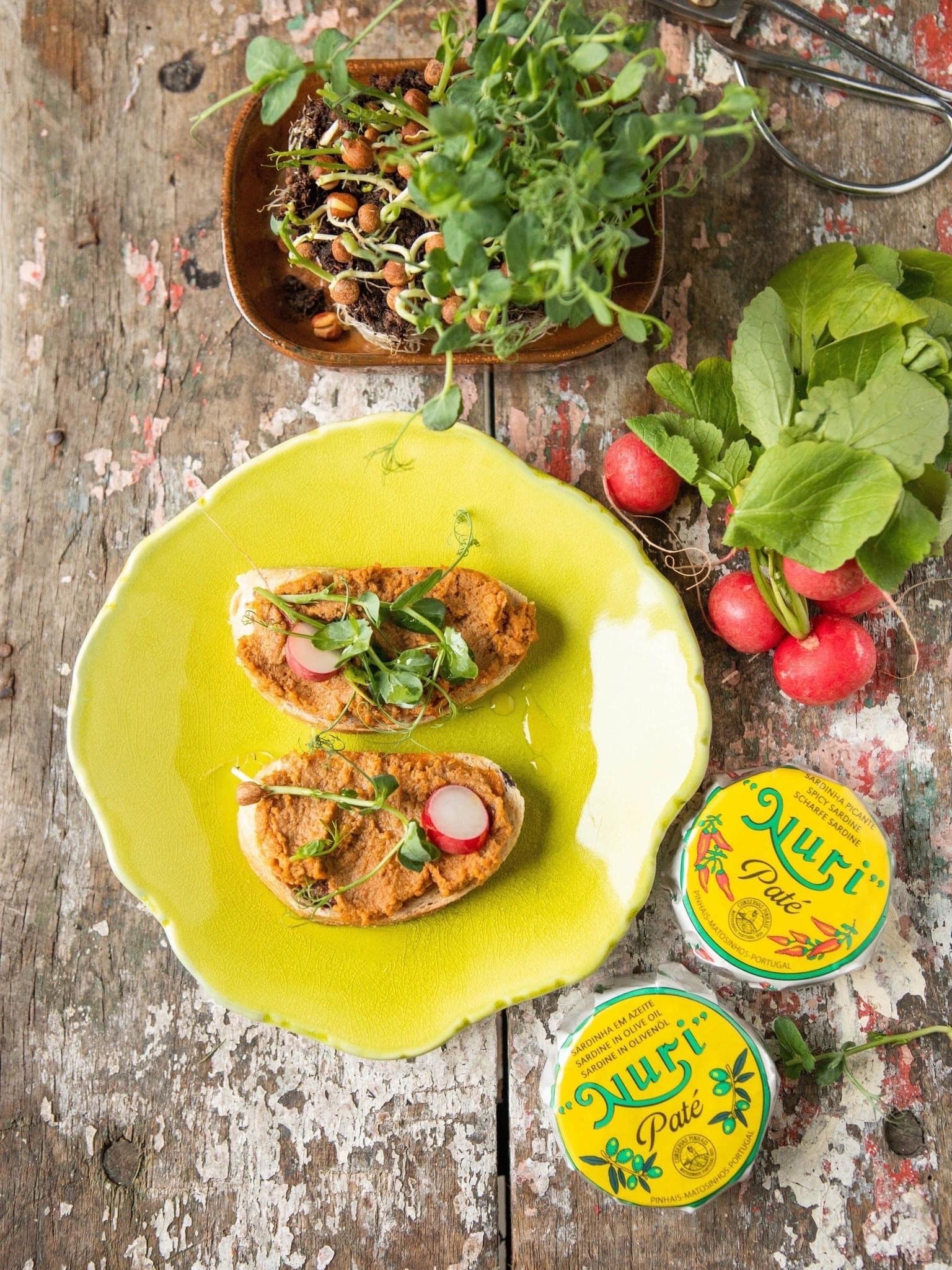 NURI Portuguese Sardines Collection 12 Pack Variety Including Spiced ...