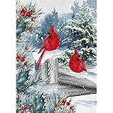 Amazon.com: SJUTOUCI Cardinal Diamond Painting Kits for Adults, Diamond ...