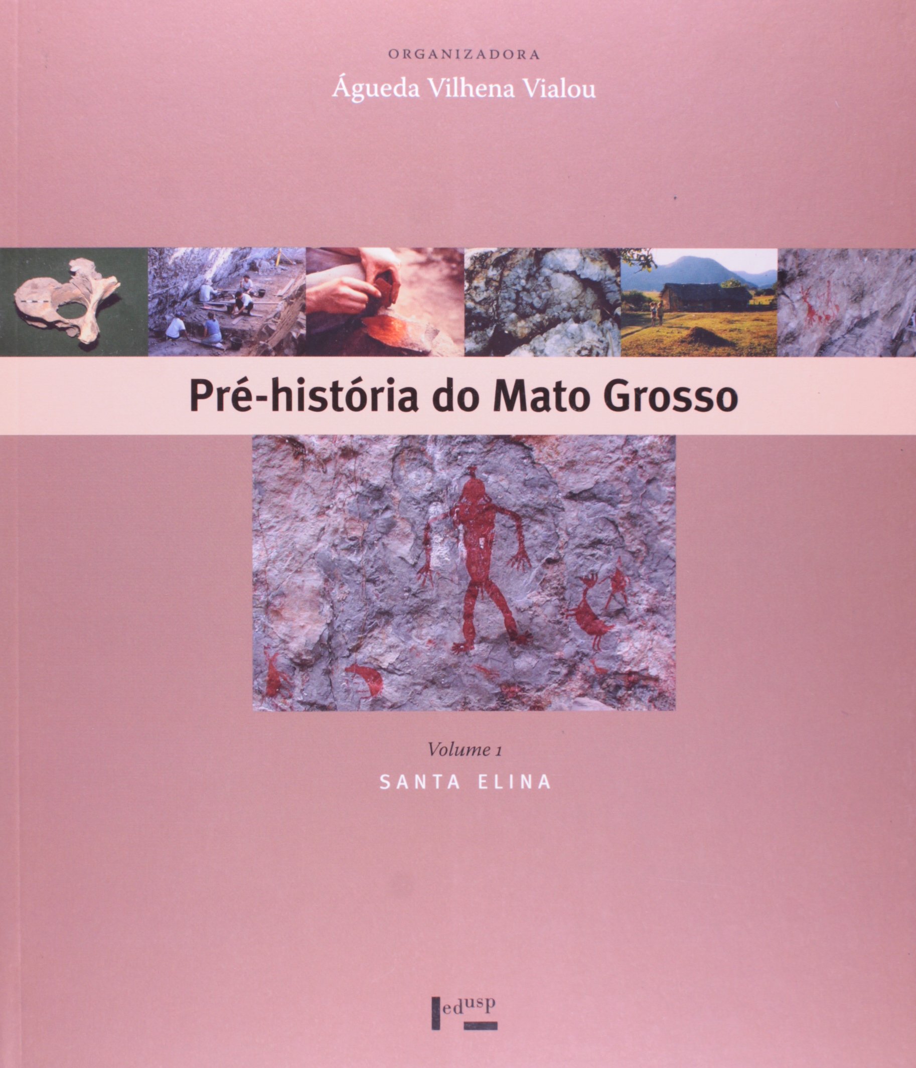 Pre-História do Mato Grosso. Santa Elina - Volume1 PDF Águeda Vilhena ...