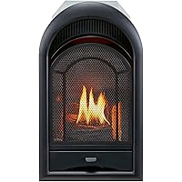 Amazon.com: ProCom Ventless Fireplace Insert Thermostat Control Arched ...