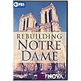Amazon.com: NOVA: Rebuilding Notre Dame : n/a, Jody Lubman, Alessandra ...