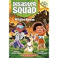 Amazon.com: Wildfire Rescue: A Branches Book (Disaster Squad #1 ...