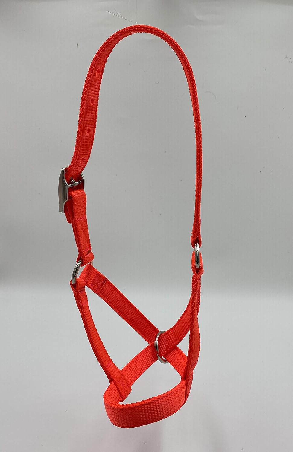Amazon.com: Carter Pet Supply Goat or Llama Halter Small Medium Or ...