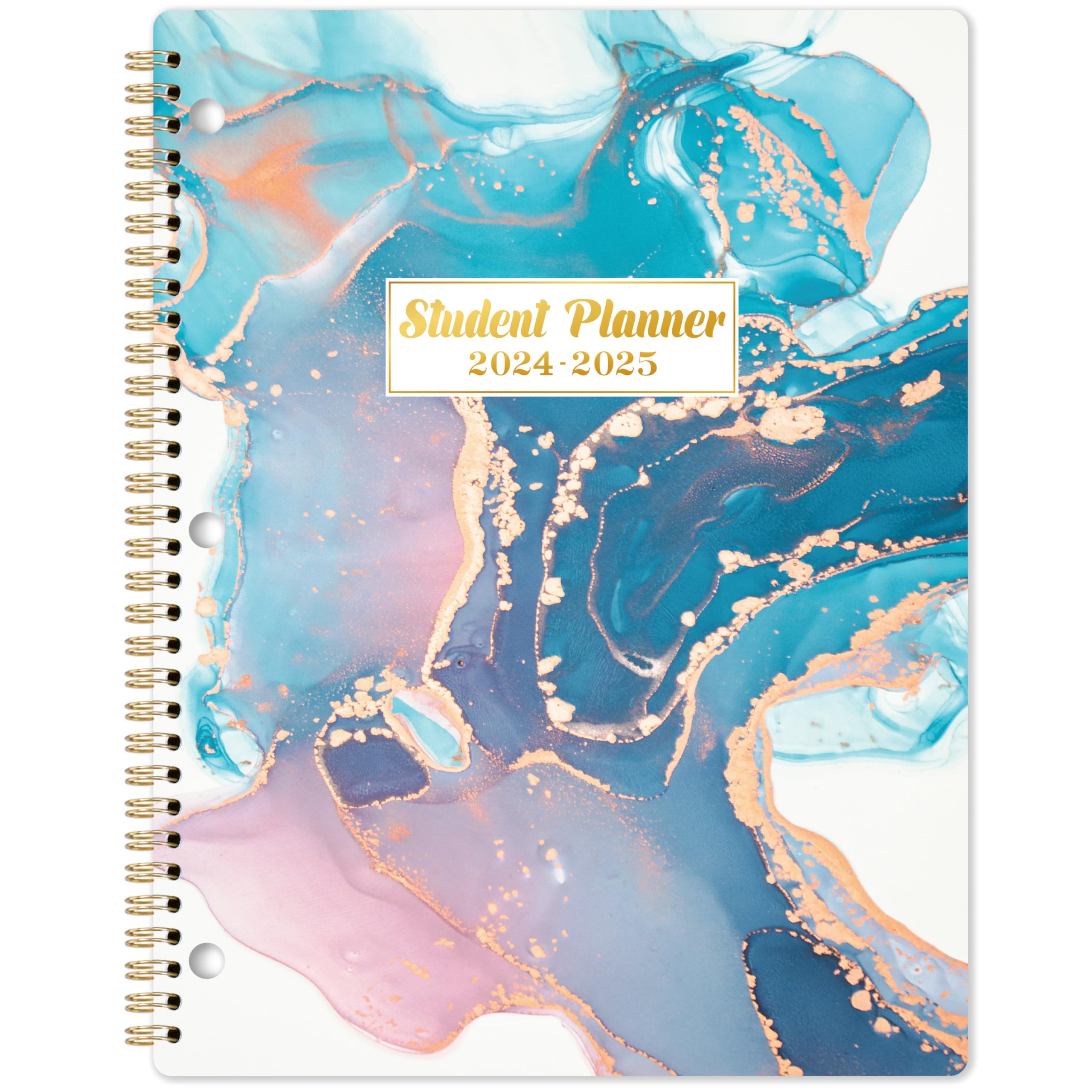 Mua Student Planner 2024-2025 - School Planner with Stickers, July 2024 ...