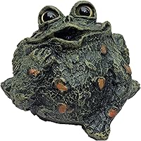 Amazon.com : Toad Hollow "Romeo Motion Activated Whistling Toad Statue ...