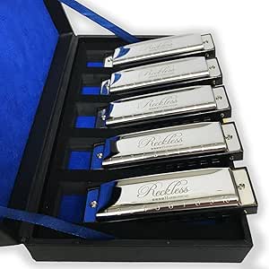 Amazon.com: Harmonicas For Adults Harmonica Set With Case By Reckless ...