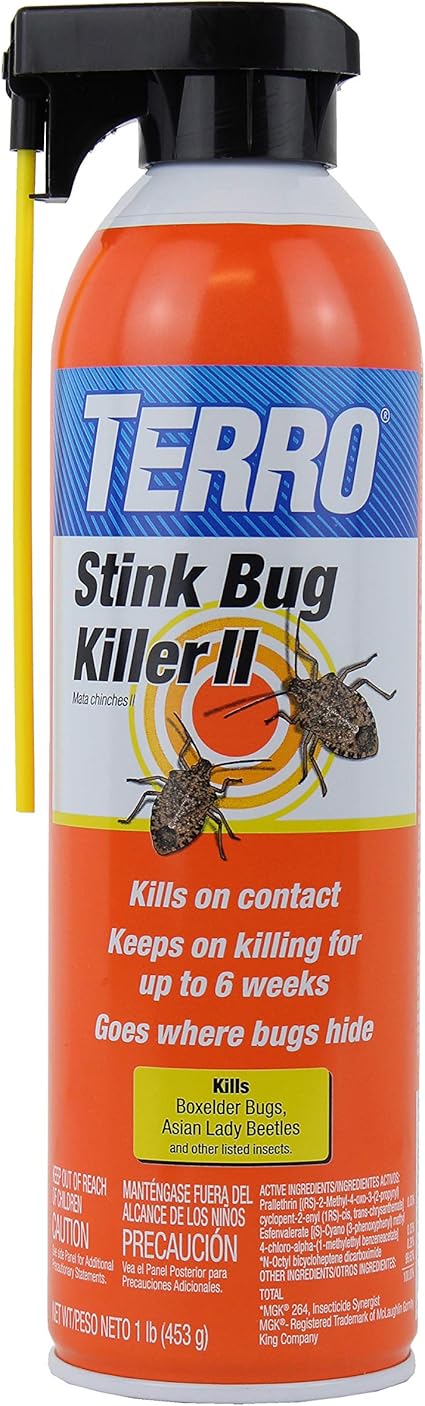 Amazon.com : Terro T3501-6 Stink Bug Killer Aerosol Spray, Orange ...