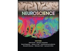 Amazon Best Sellers: Best Neuroscience