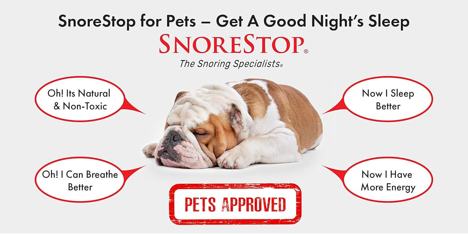 How Is Sleep Apnea In Dogs Treated