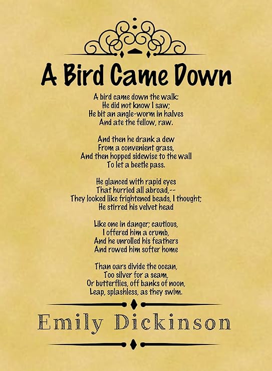 A4 Size Parchment Poster Classic Poem Emily Dickinson A Bird Came Down ...