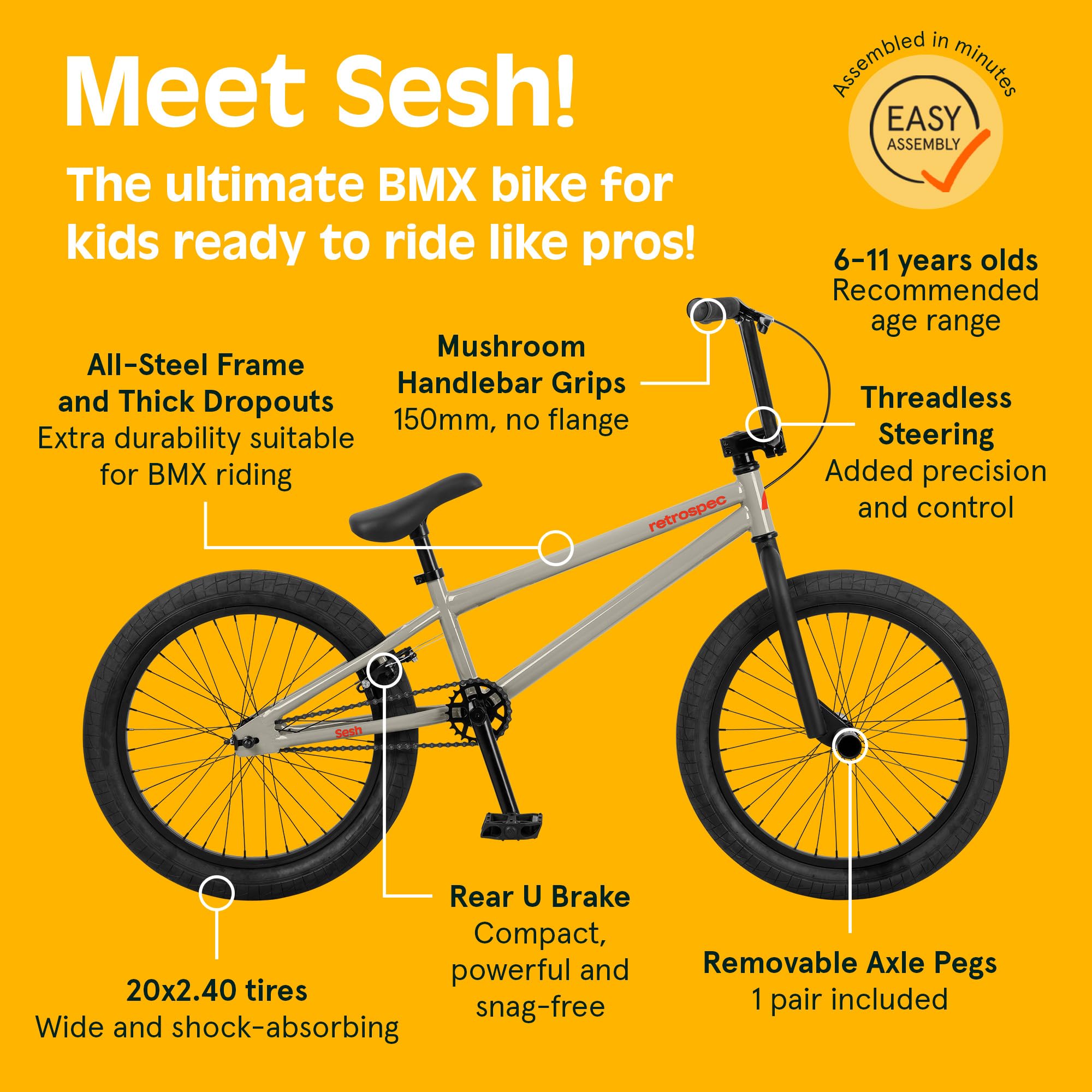 Mua Retrospec Sesh BMX Kids Bike trên Amazon Mỹ chính hãng 2024 | Fado