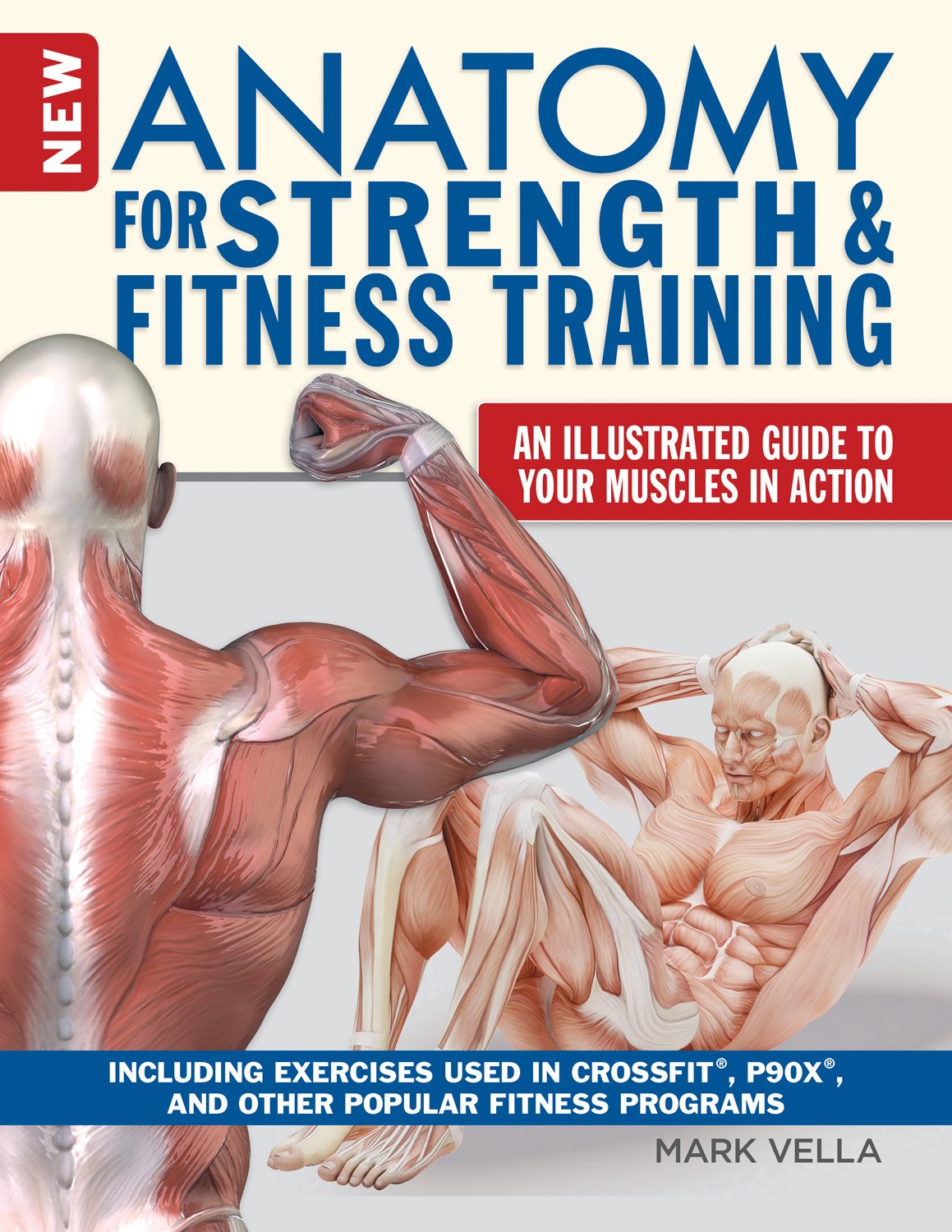 Strength Training Anatomy Mit Shop Store