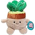 Amazon.com: BumBumz Large 7.5" Succulent STU HomeBumz Plush ...