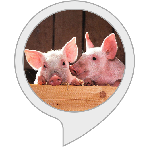 Hansel and Gretel - Interactive Story for kids : Amazon.in: Alexa Skills