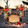 Amazon.com: TISEJOY Solar Christmas Decorations Outdoor Lights, Set of ...