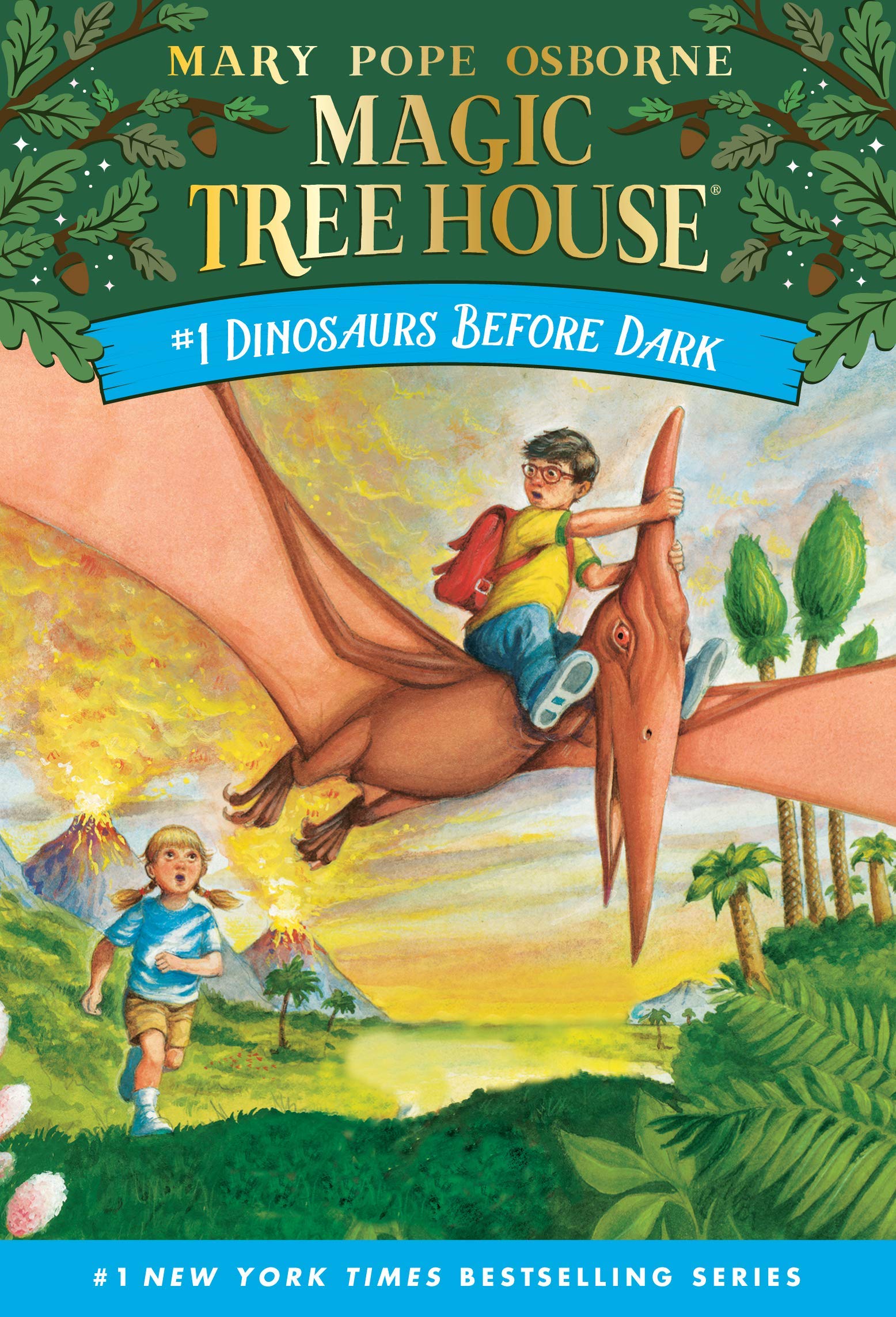 Best Chapter Books For 1st Graders FREE Printable Book List
