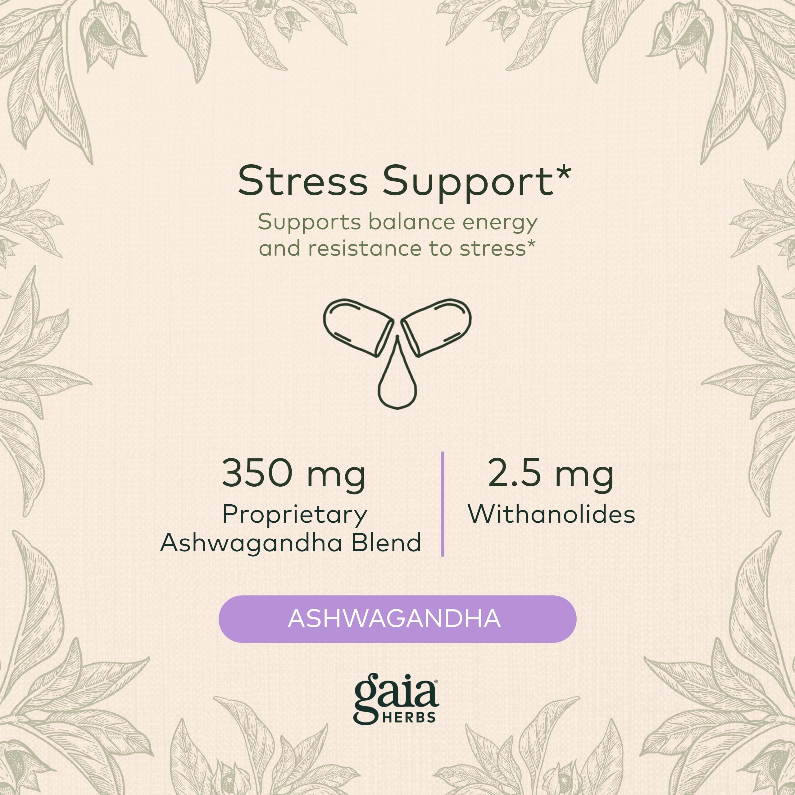 Mua Gaia Herbs, Ashwagandha Root Vegan Liquid Phyto Capsules - Stress ...