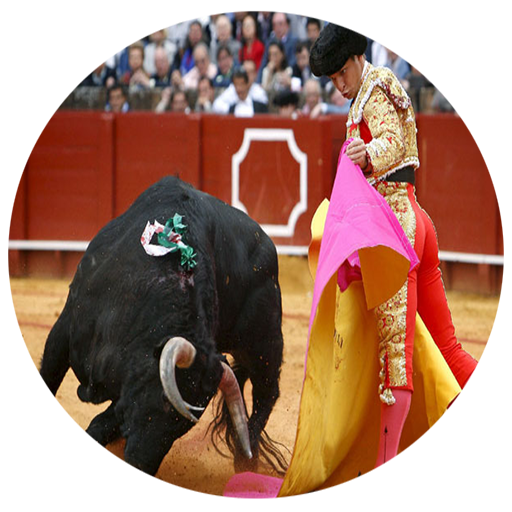 Olay Bullfighting