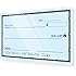 Amazon.com : Reusable Giant Oversized Fake Paper Checks for Endowment ...