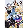 Amazon.com: Demon Slayer: Kimetsu no Yaiba, Vol. 10 (10): 9781974704552 ...