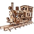 Amazon.com: Wood Trick Train 3D Wooden Puzzle for Adults and Kids to ...