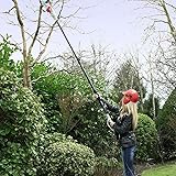 Eckman Lightweight 9ft 2¼in Long Reach Telescopic Hedge Trimmer: Amazon ...