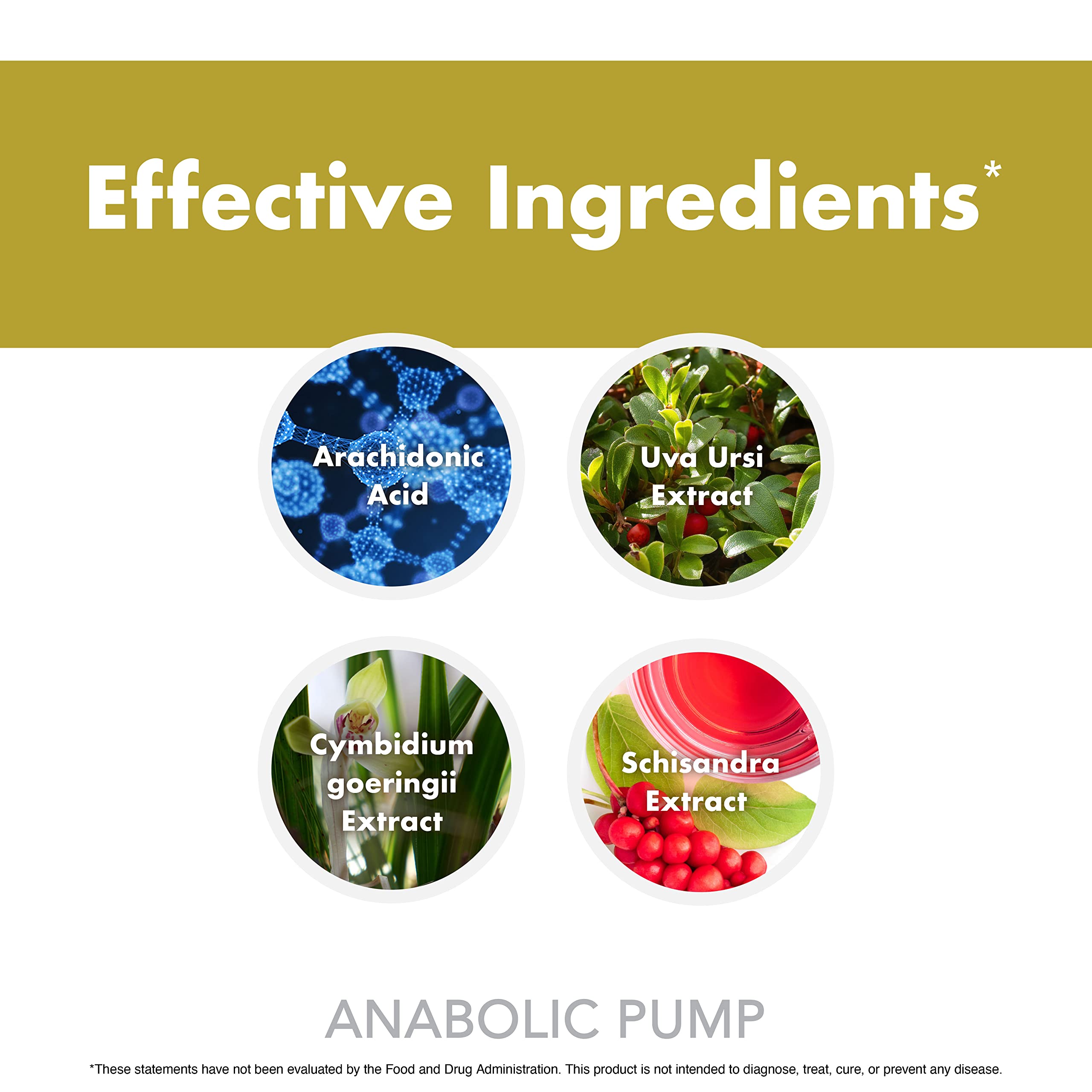 Mua Anabolic Pump, Advanced Pump Formula, Increase Muscle Pumps ...
