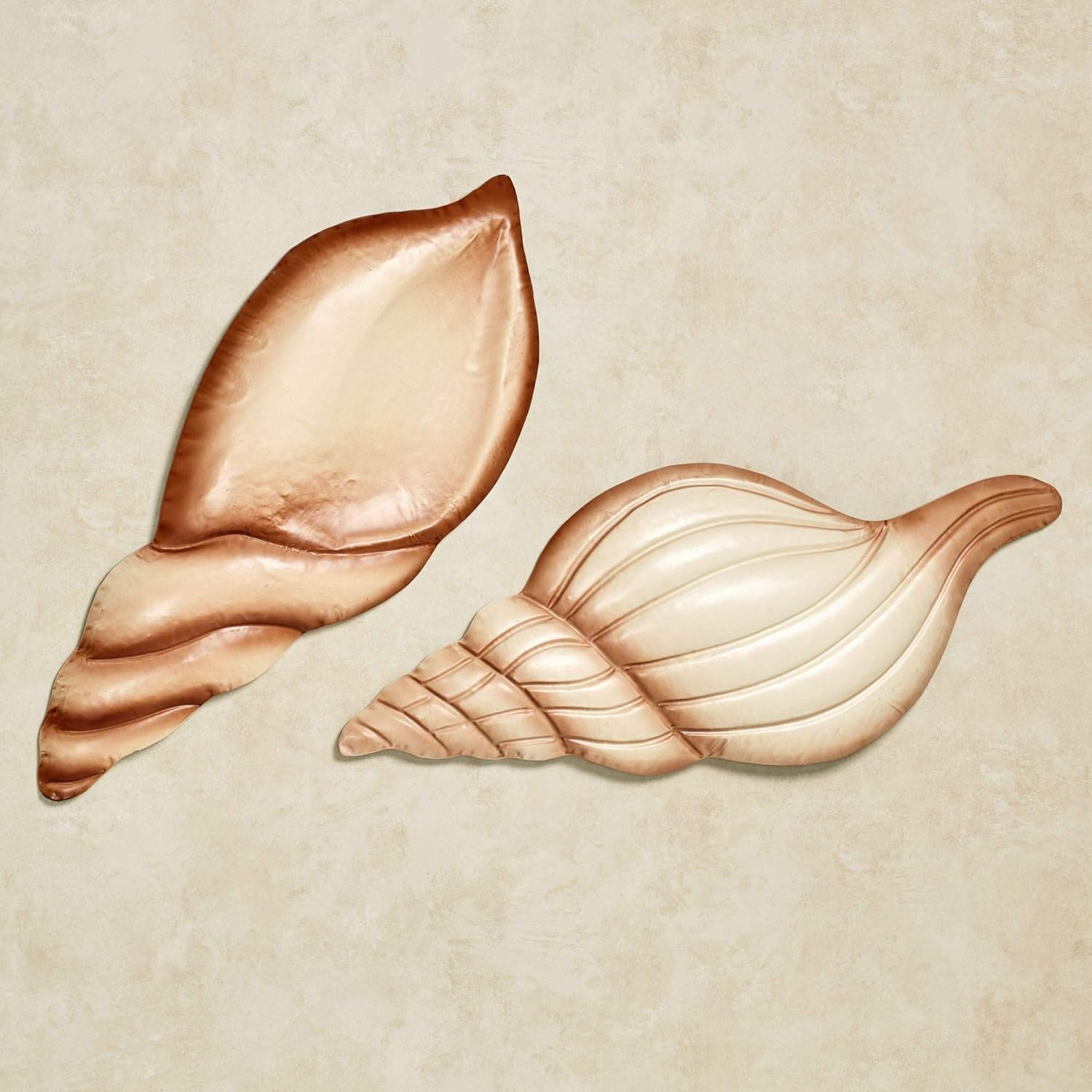 Amazon.com: Seashell Metal Wall Art Sea Shells Brown Ivory Beach ...
