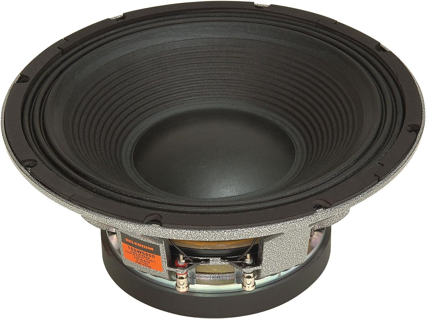 Amazon.com: Selenium 15-in Woofer 800 Watts RMS: Home Audio & Theater