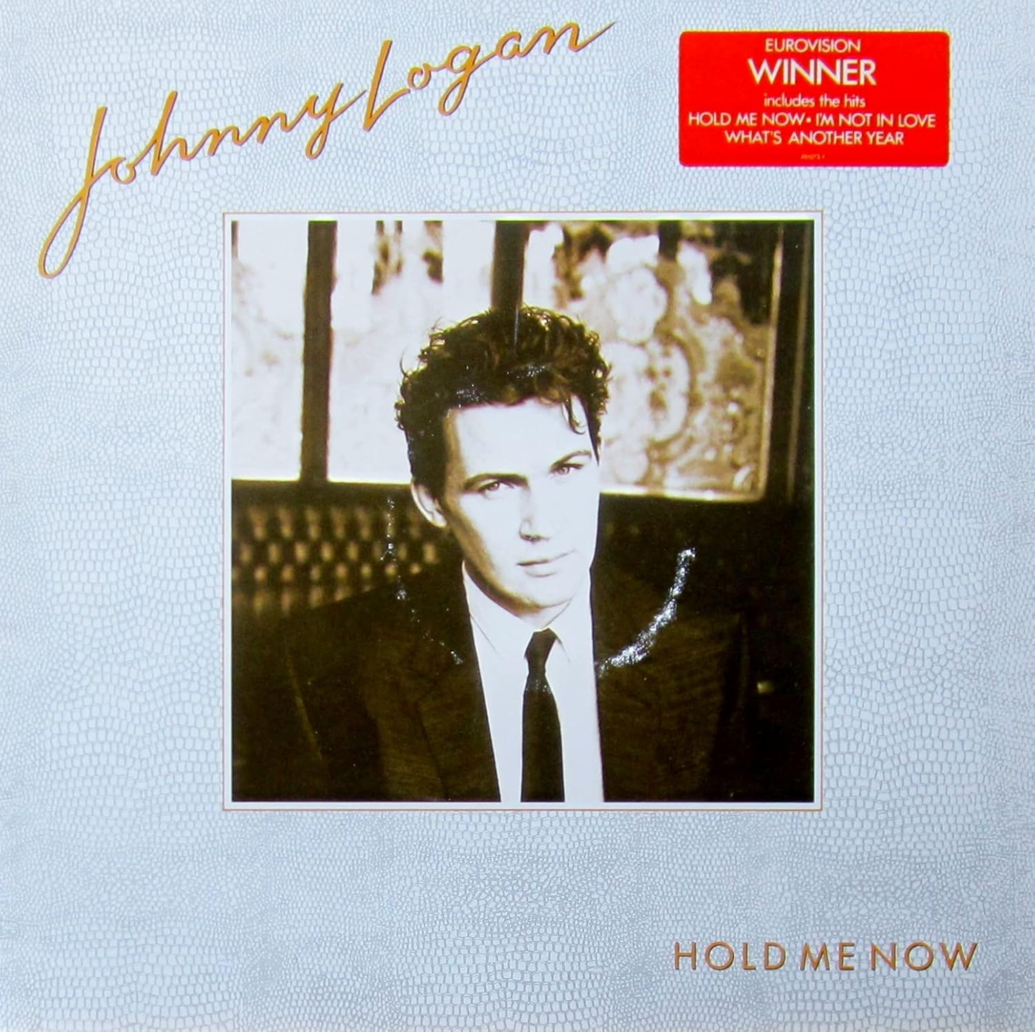 Hold me now (1987) [VINYL] - Johnny Logan