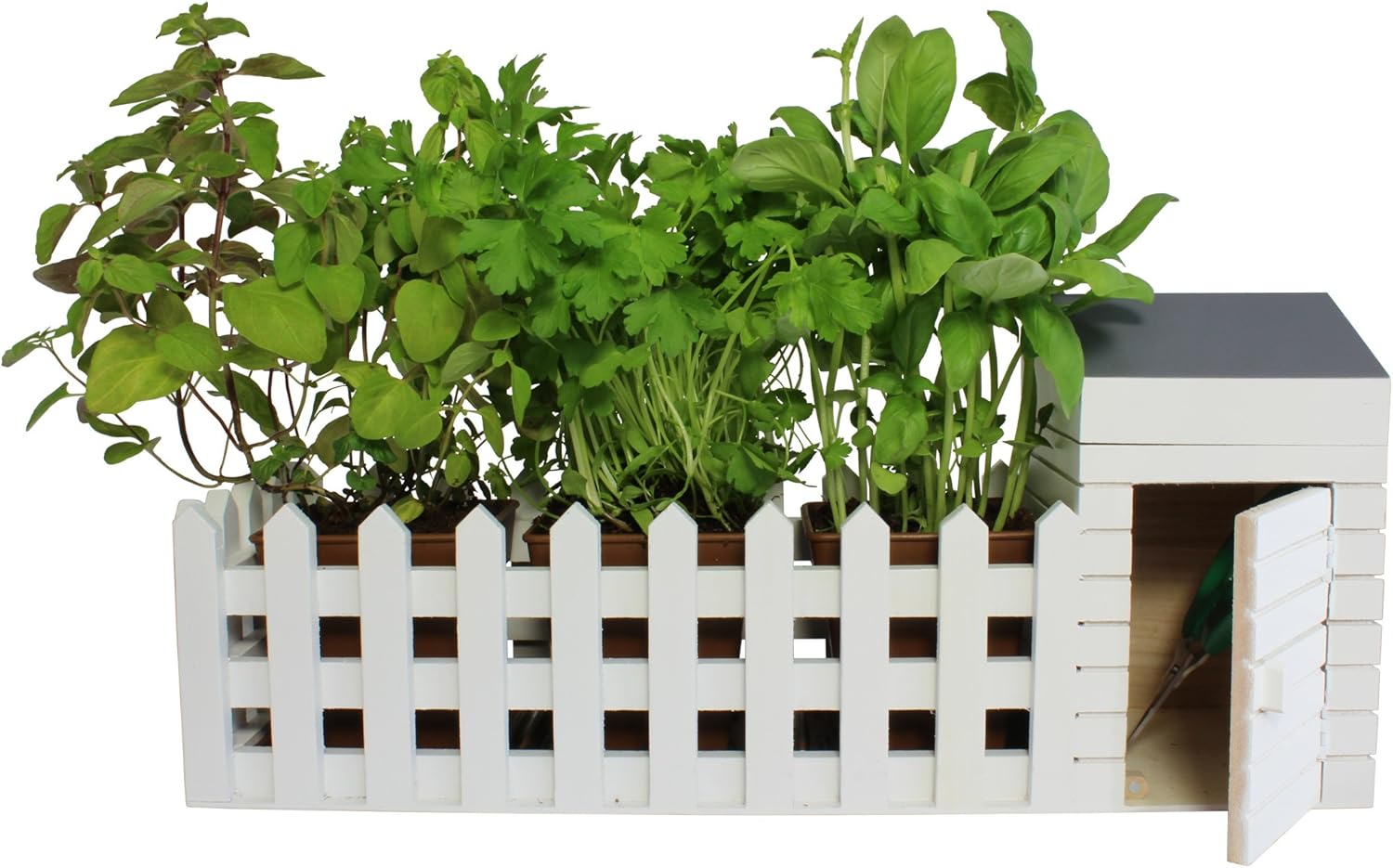 Oliphant Indoor Allotment Gift Set Herb Garden – BigaMart