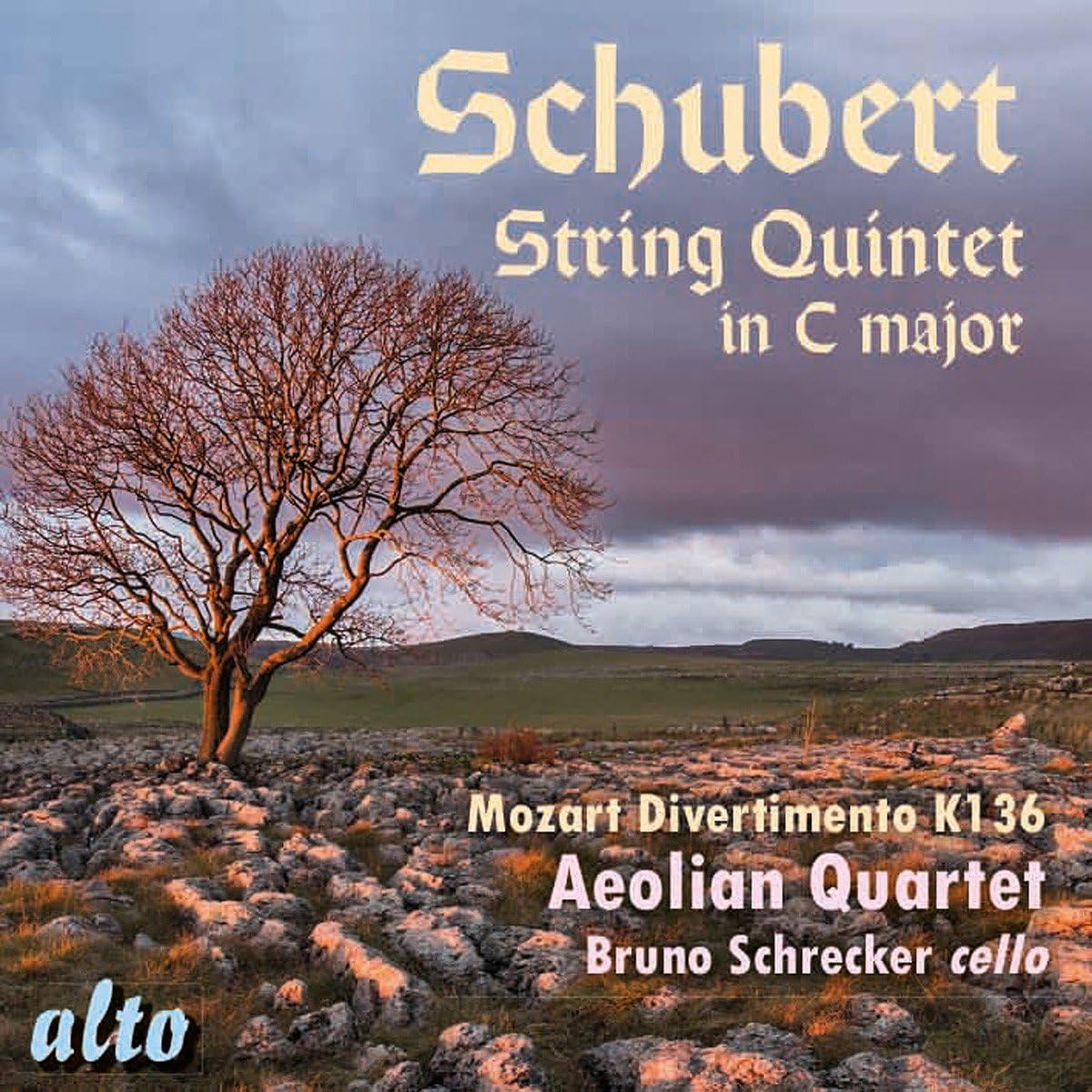 Schubert: String Quintet In C Major: Amazon.co.uk: Music