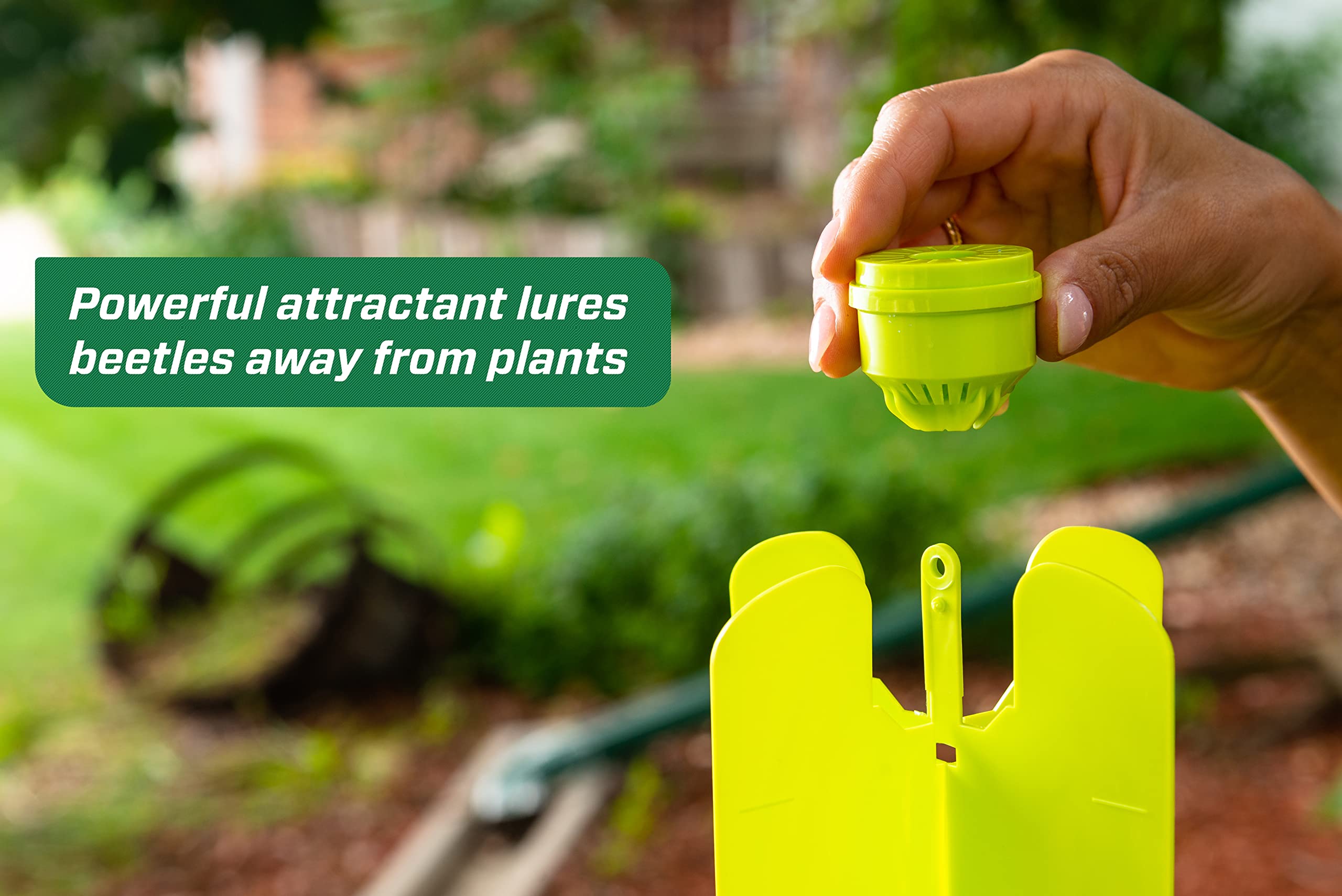 Mua RESCUE! Japanese Beetle Trap – Reusable Bag - 2 Traps RESCUE ...