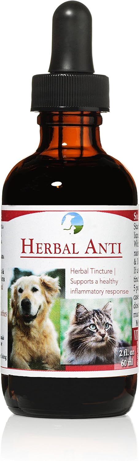 Herbal Anti-Inflammatory for Cats 2oz - Disinfects GI Tract, Reduces ...
