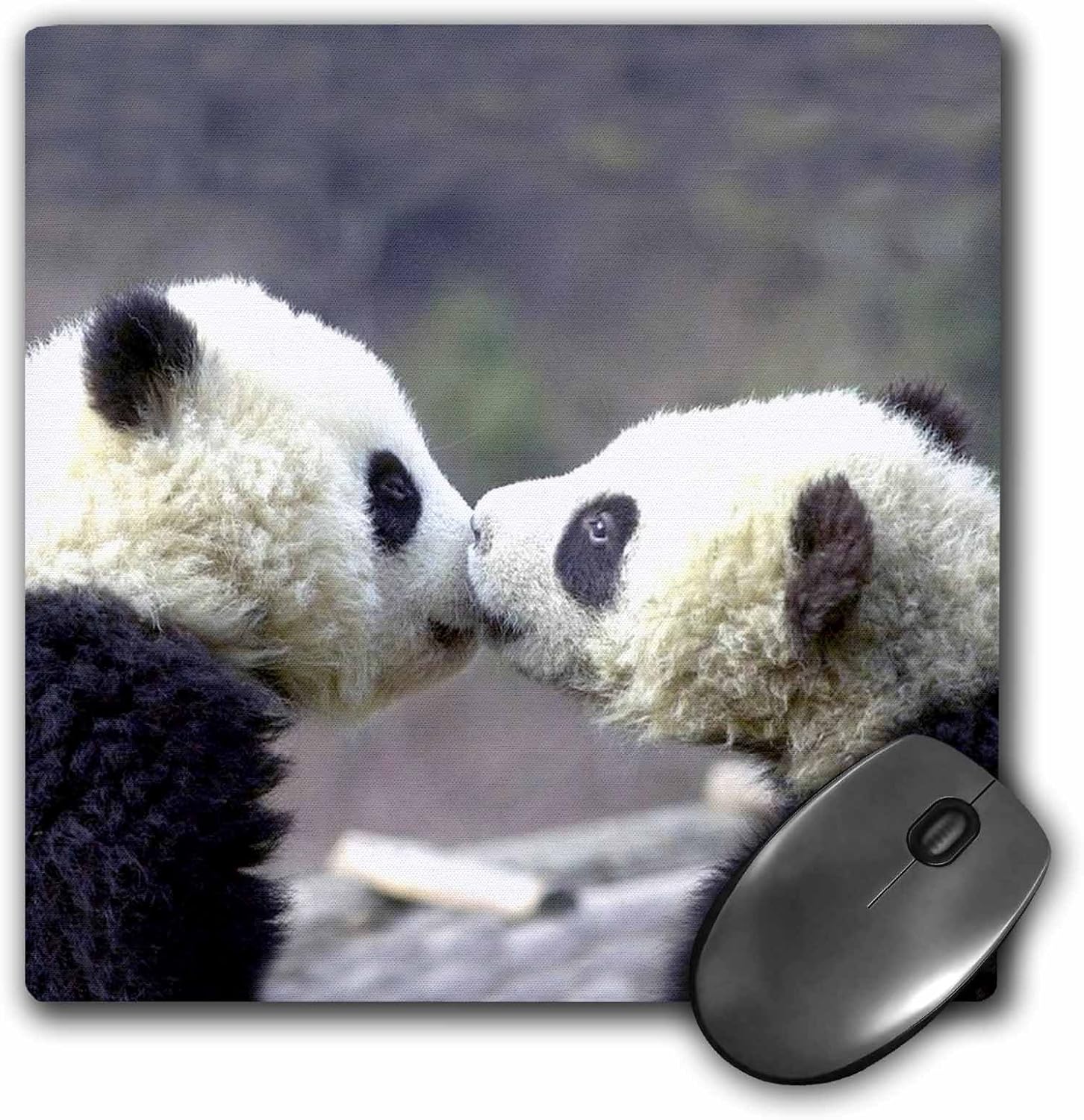 Amazon.com : 3dRose LLC 8 x 8 x 0.25 Inches Mouse Pad, Baby Pandas (mp ...
