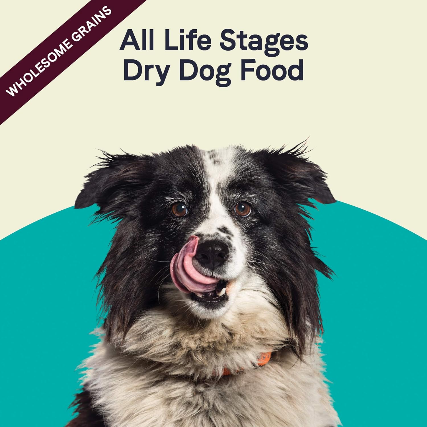 Canidae All Life Stages