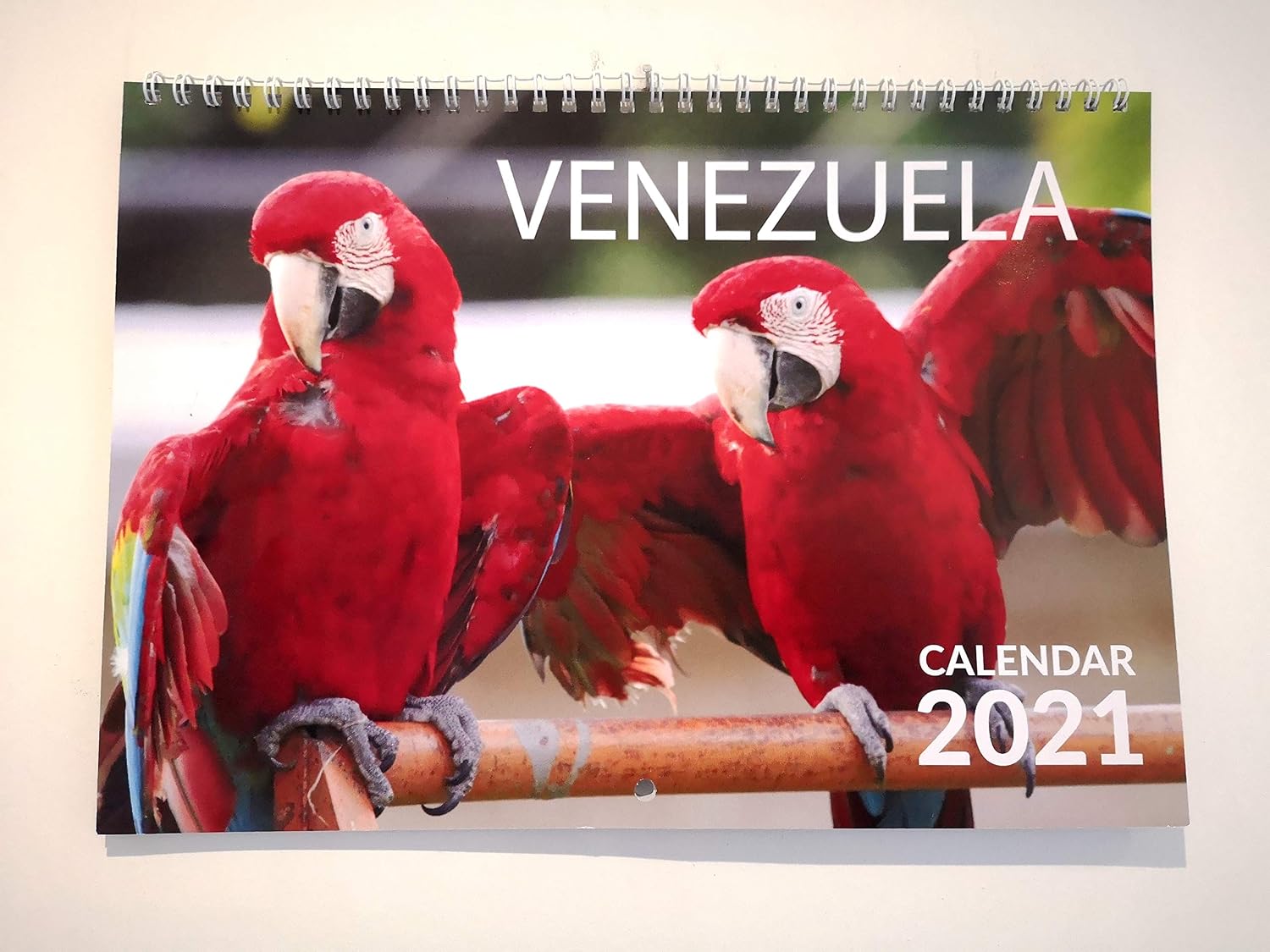Venezuela Calendar 2021 – A3 Wall Calendar – BigaMart