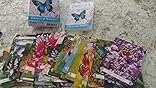 Butterfly Oracle Cards for Life Changes: A 44-Card Deck and Guidebook ...