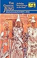 Amazon.com: The Gnostic Jung (9780691019239): C. G. Jung, Robert A ...