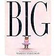 Big: Vashti Harrison: 9780241561904: Amazon.com: Books