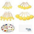 Amazon.com: Kare & Kind 30 pcs Round Sponges Brush Set - Painting Tools - for DIY Arts, Crafts ...