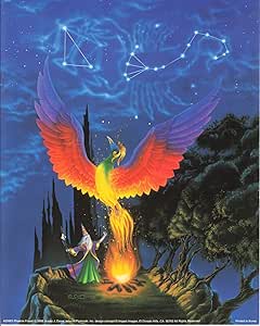 Mythical Magical Fantasy Wizard Phoenix Forest Kids Room Wall Decor Art ...