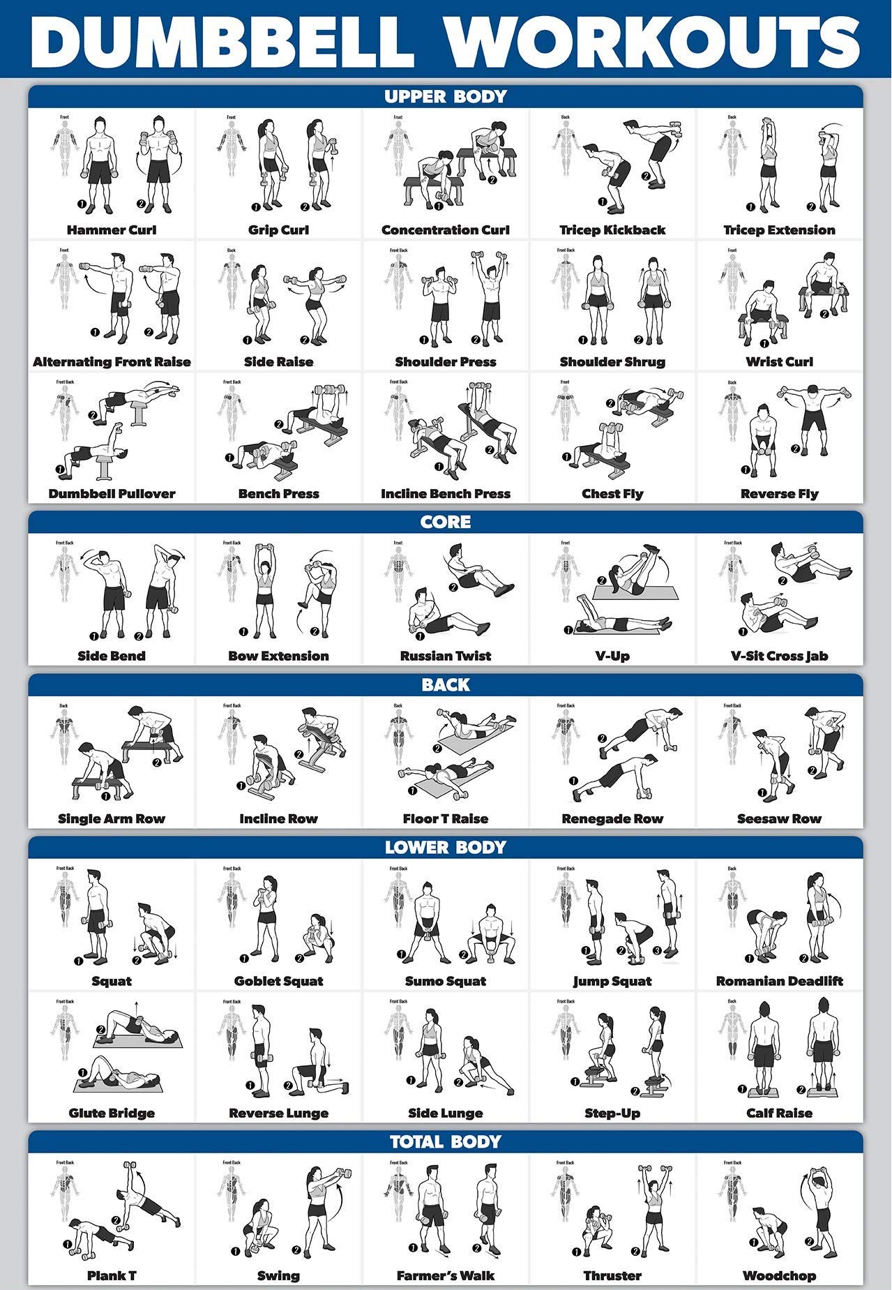 Palace Learning Dumbbell Workout Exercise Poster Laminated Free Palace Learning Dumbbell Workout Exercise Poster Laminated Free