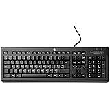 HP Hewlett-Packard PR1101U USB Keyboard / German Layout (QWERTZ) / 105 ...