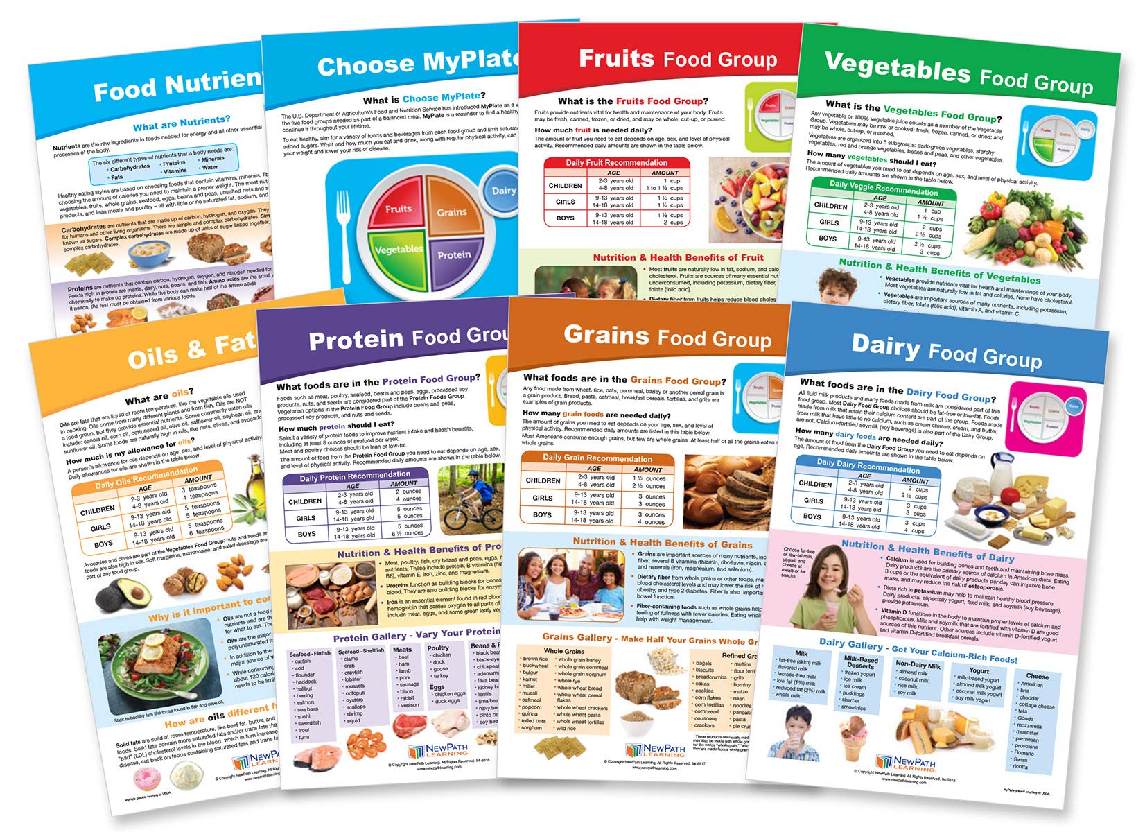 Buy NewPath Learning MyPlate Food Groups Bulletin Board Charts, Set/8 ...