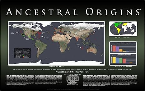 Ancestral Origins Ancestry DNA Testing Kit - 24 Marker Test - Results ...