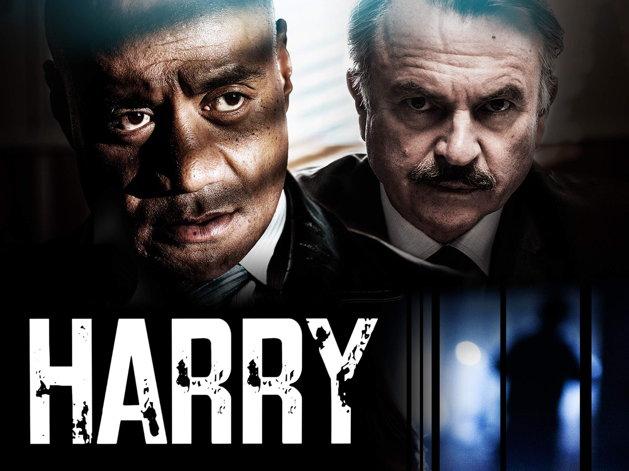 Watch Harry - Season 1 | Prime Video
